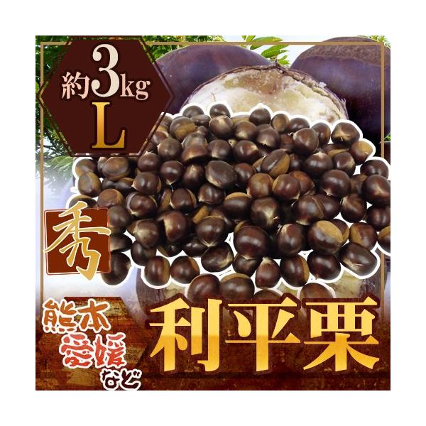 【発売日：2026年09月25日】【送料無料】老舗料亭や和菓子店のプロも認める品質の「利平栗」！他の栗の追随を許さない甘さと大粒♪ふっくらとしたシルエットがそのおいしさを物語っています!/フルーツ/果物/3キロ/爆買