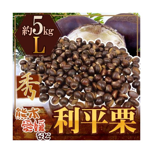 【発売日：2026年09月25日】【送料無料】老舗料亭や和菓子店のプロも認める品質の「利平栗」！他の栗の追随を許さない甘さと大粒♪ふっくらとしたシルエットがそのおいしさを物語っています!/フルーツ/果物/5キロ/爆買