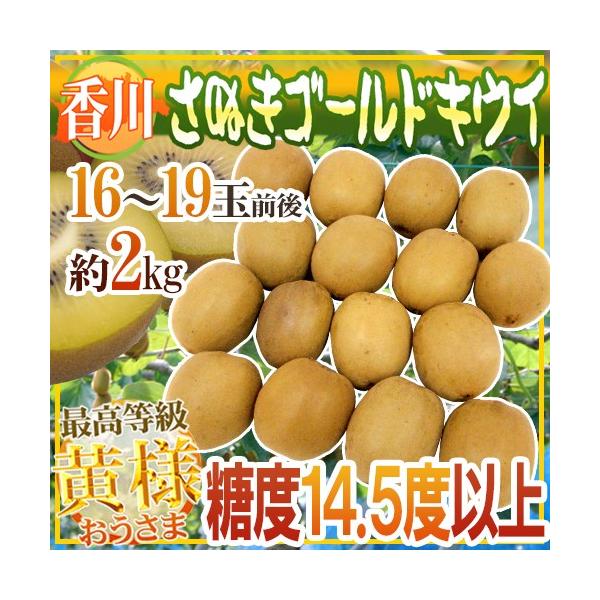 【発売日：2026年10月25日】【送料無料】大玉・なめらか・あま〜い！！あのゴールドキウイやグリーンキウイに勝る甘さのブランドキウイ♪クセのない甘さは酸っぱいものが苦手な方にも♪/フルーツ/果物/2キロ/爆買