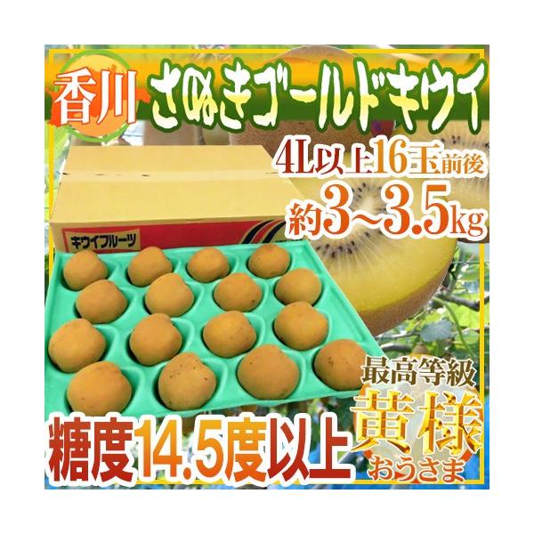 【発売日：2026年10月25日】【送料無料】大玉・なめらか・あま〜い！！あのゴールドキウイやグリーンキウイに勝る甘さのブランドキウイ♪クセのない甘さは酸っぱいものが苦手な方にも♪/フルーツ/果物/3.5キロ/3キロ/爆買