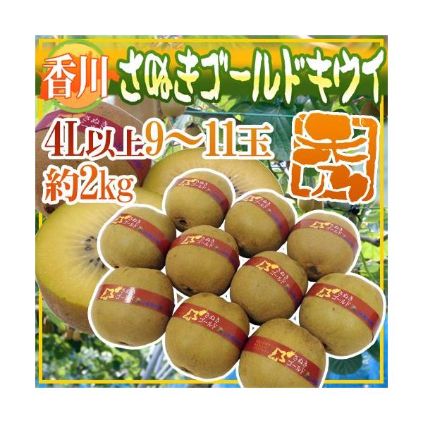 【発売日：2026年10月25日】【送料無料】大玉・なめらか・あま〜い！！あのゴールドキウイやグリーンキウイに勝る甘さのブランドキウイ♪クセのない甘さは酸っぱいものが苦手な方にも♪/フルーツ/果物/2キロ/爆買