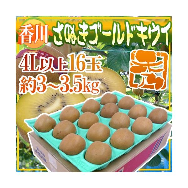 【発売日：2026年10月25日】【送料無料】大玉・なめらか・あま〜い！！あのゴールドキウイやグリーンキウイに勝る甘さのブランドキウイ♪クセのない甘さは酸っぱいものが苦手な方にも♪/フルーツ/果物/3.5キロ/3キロ/爆買
