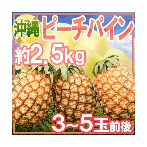 【発売日：2026年03月25日】【送料無料】甘〜くてジューシー♪緻密で柔らかな乳白色の果肉は噛むと甘い果汁がジュワァ〜っと溢れ出ます♪イガイガせず酸味の少ない芯まで食べられる希少品種！「中元」/フルーツ/果物/2.5キロ/爆買
