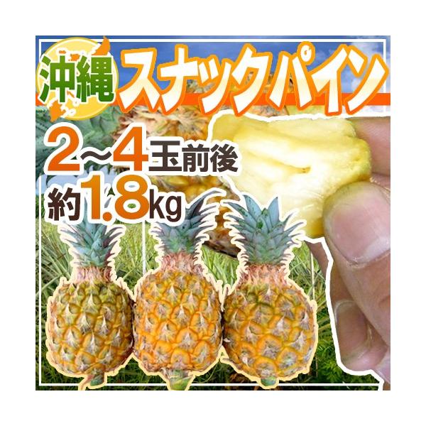 【発売日：2026年03月25日】【送料無料】甘〜くてジューシー♪手でちぎって食べられる！楽しさ抜群のパイナップル！芯まで食べられるから満足感たっぷり♪イガイガ感や酸味も少なく食べやす〜い！「中元」/フルーツ/果物/1.8キロ/爆買