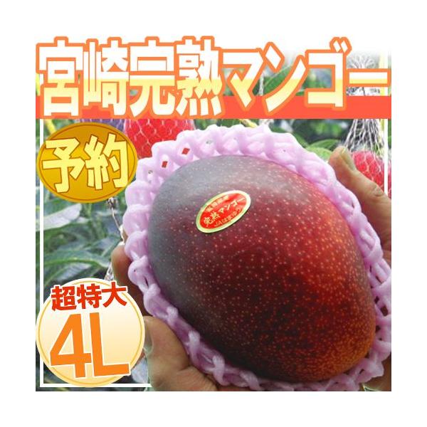 【発売日：2026年05月25日】あの完熟【宮崎マンゴー】を特大4Lサイズ限定！とろ〜りなめらか舌触りの究極マンゴー！3玉以上のご注文で送料無料♪大量販売店だから出来る価格設定です！※4L規格→510ｇ〜649ｇ/母の日/父の日/お中元/フ...