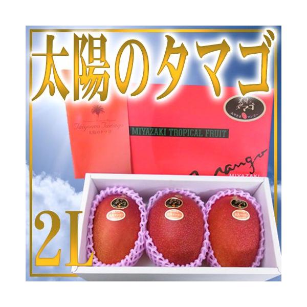 【送料無料！】究極のマンゴー【太陽のタマゴ】宮崎県が誇る至高の逸品♪とろけるようななめらかな食感、うっとりする香り、濃厚な甘味、納得の品質と価格でご提供です♪/母の日/父の日/お中元/御中元/太陽のたまご/宮崎完熟マンゴー/フルーツ/果物/爆買