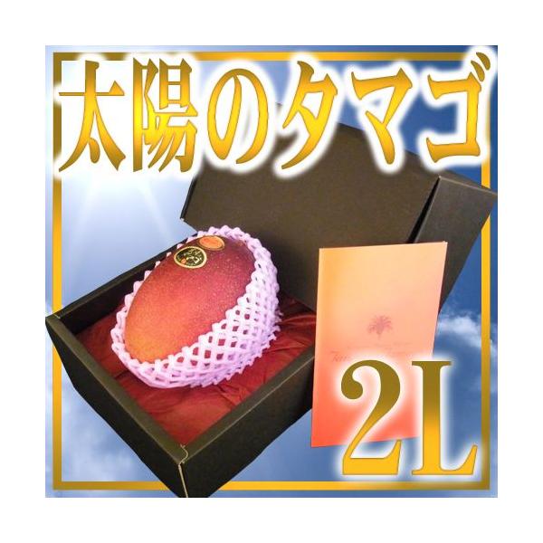 【送料無料！】究極のマンゴー【太陽のタマゴ】宮崎県が誇る至高の逸品♪とろけるようななめらかな食感、うっとりする香り、濃厚な甘味、納得の品質と価格でご提供です♪/母の日/父の日/お中元/御中元/太陽のたまご/フルーツ/果物/爆買