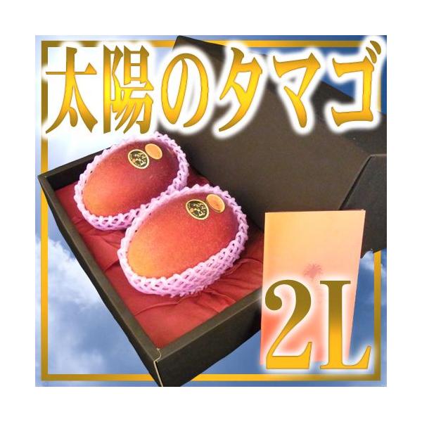 【送料無料！】究極のマンゴー【太陽のタマゴ】宮崎県が誇る至高の逸品♪とろけるようななめらかな食感、うっとりする香り、濃厚な甘味、納得の品質と価格でご提供です♪/母の日/父の日/お中元/御中元/太陽のたまご/フルーツ/果物/爆買