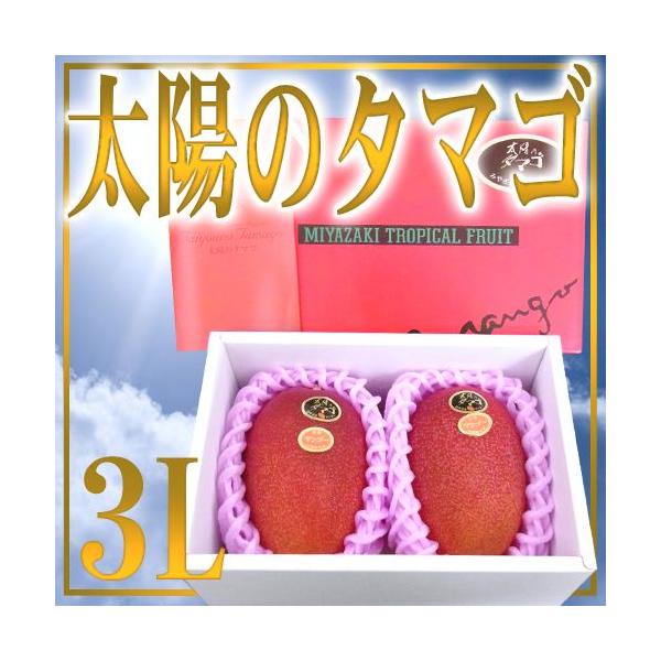 【送料無料！】究極のマンゴー【太陽のタマゴ】宮崎県が誇る至高の逸品♪とろけるようななめらかな食感、うっとりする香り、濃厚な甘味、納得の品質と価格でご提供です♪/母の日/父の日/お中元/御中元/太陽のたまご/フルーツ/果物/爆買
