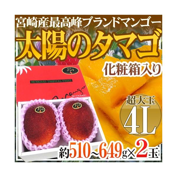 【送料無料！】究極のマンゴー【太陽のタマゴ】宮崎県が誇る至高の逸品♪とろけるようななめらかな食感、うっとりする香り、濃厚な甘味、納得の品質と価格でご提供です♪/母の日/父の日/お中元/御中元/太陽のたまご/宮崎完熟マンゴー/フルーツ/果物/爆買