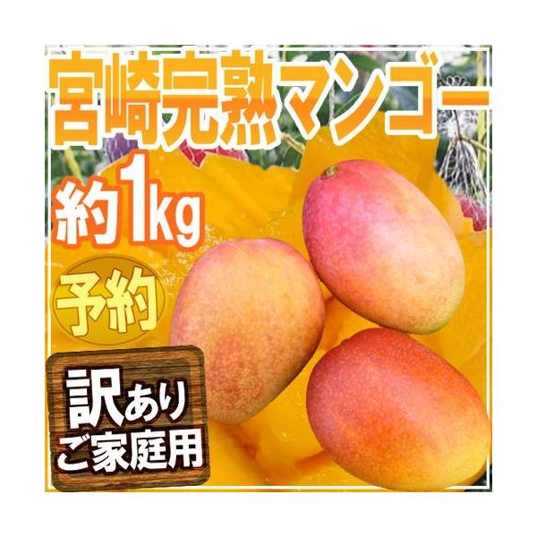 【発売日：2026年05月05日】あの「宮崎完熟マンゴー」が訳待ち超特価！！なめらかでとろけるような濃厚な甘さを、ご家庭で♪甘〜い至福の時間をお届けします★「中元」「早期割引」/フルーツ/果物/1キロ/爆買