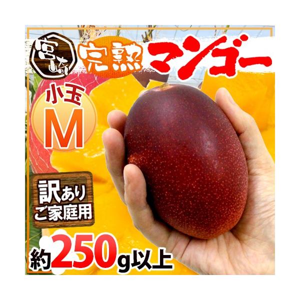 【発売日：2026年05月25日】最高級フルーツ“宮崎完熟マンゴー”が訳ありでお買い得！丁度いい大きさのMサイズが驚きの超特価！！この機会に是非ご賞味あれ♪/フルーツ/果物/爆買