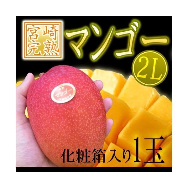 【発売日：2026年03月25日】【送料無料！】大玉2Lサイズ【宮崎マンゴー】とろけるような濃厚な甘さ！！！進物・贈答にも最適な化粧箱入りです♪/母の日/父の日/お中元/フルーツ/果物/爆買