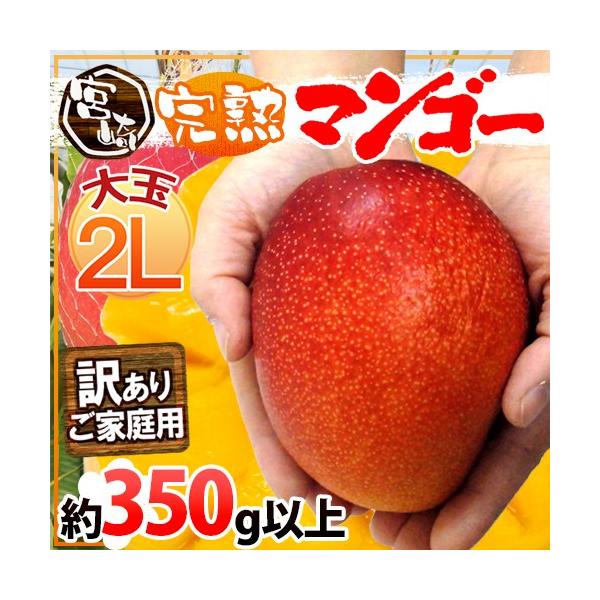 【発売日：2026年05月25日】最高級フルーツ“宮崎完熟マンゴー”が訳ありでお買い得！2Lサイズの大玉が驚きの超特価！！この機会に是非ご賞味あれ♪「中元」/フルーツ/果物/爆買