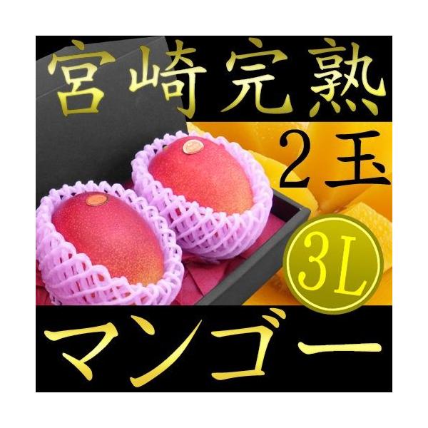 【発売日：2026年04月10日】【送料無料！】大玉3Lサイズを2個！！【宮崎マンゴー】とろけるような濃厚な甘さ！！！進物・贈答にも最適な化粧箱入りです♪/母の日/父の日/お中元/フルーツ/果物/爆買