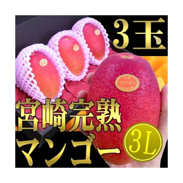 【発売日：2026年04月10日】【送料無料！】大玉3Lサイズを3個！！【宮崎マンゴー】とろけるような濃厚な甘さ！！！進物・贈答にも最適な化粧箱入りです♪/母の日/父の日/お中元/フルーツ/果物/爆買