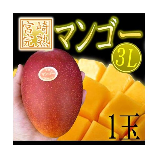 【発売日：2026年04月10日】【送料無料！】大玉3Lサイズ【宮崎マンゴー】とろけるような濃厚な甘さ！！！進物・贈答にも最適な化粧箱入りです♪/母の日/父の日/お中元/フルーツ/果物/爆買