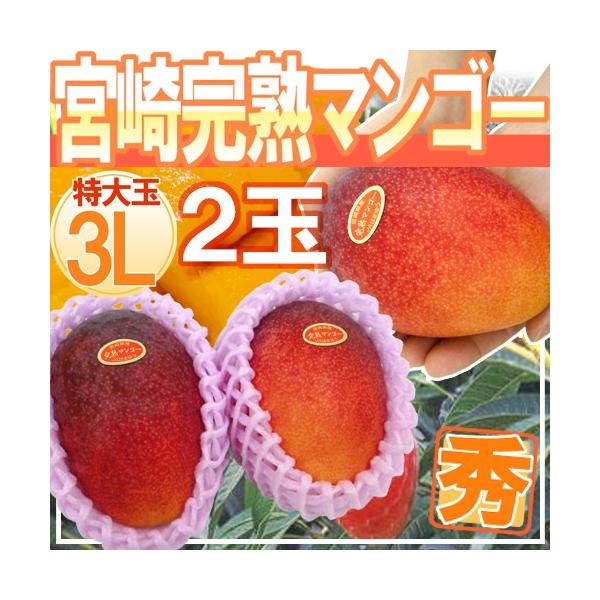 【発売日：2026年05月25日】あの高級ブランドフルーツの代名詞♪超大玉3Lサイズ【宮崎マンゴー】樹上完熟で作られる、とろけるような濃厚な甘さ♪化粧箱入りではありませんが、ギフトなどにも最適です！マンゴー/まんごー/芒果/完熟マンゴー/宮...