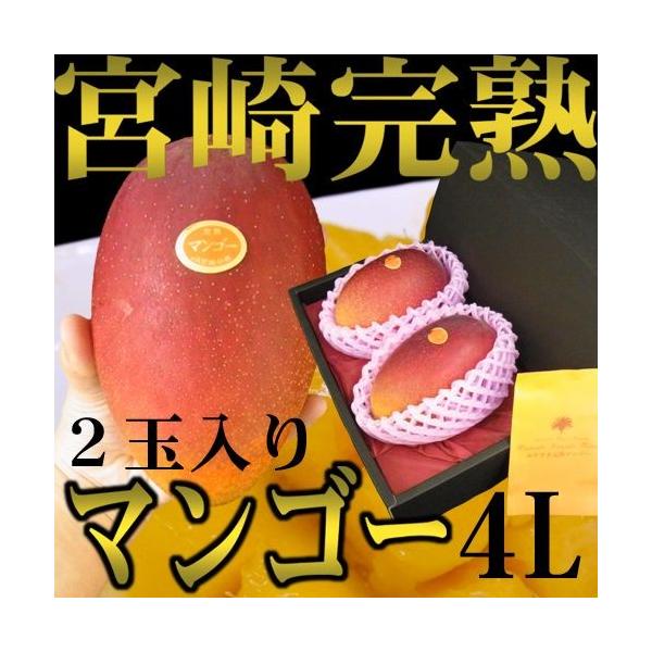 【発売日：2026年04月10日】【送料無料！】超大玉4Lサイズ【宮崎マンゴー】とろけるような濃厚な甘さ！！！進物・贈答にも最適な化粧箱入りです♪/母の日/父の日/お中元/フルーツ/果物/爆買