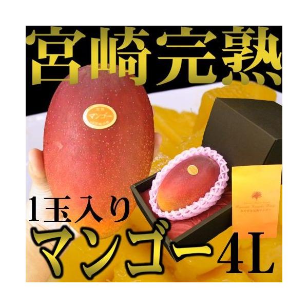 【発売日：2026年04月10日】【送料無料！】超大玉4Lサイズ【宮崎マンゴー】とろけるような濃厚な甘さ！！！進物・贈答にも最適な化粧箱入りです♪/母の日/父の日/お中元/フルーツ/果物/爆買