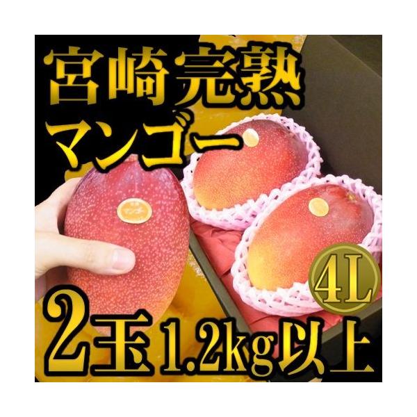 【発売日：2026年04月10日】【送料無料！】ビックリジャンボ！超特大4Lサイズ２玉で1.2kg以上！！【宮崎マンゴー】　とろけるような濃厚な甘さ！！！進物・贈答にも最適な化粧箱入りです♪/母の日/父の日/お中元/フルーツ/果物/爆買