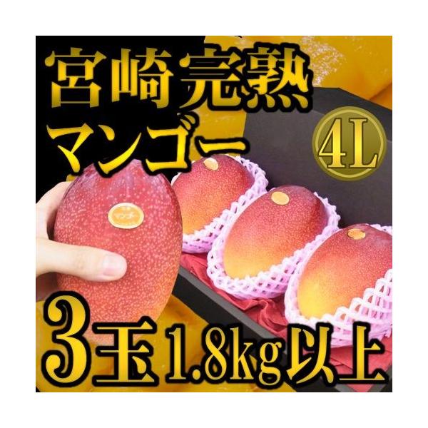 【発売日：2026年04月10日】【送料無料！】ビックリジャンボ！超特大4Lサイズ 3玉で1.8kg以上！！【宮崎マンゴー】　とろけるような濃厚な甘さ！！！進物・贈答にも最適な化粧箱入りです♪/母の日/父の日/お中元/フルーツ/果物/1.8...