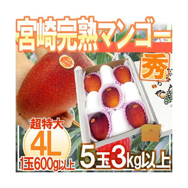 【発売日：2026年04月10日】【送料無料！】超希少な4Lサイズの中でも巨大！600g以上のものだけをお届け！最高峰ブランド【宮崎完熟マンゴー】樹上完熟だからこそのとろけるような濃厚な甘さ！！！進物・贈答にも最適な化粧箱入りです♪/母の日...