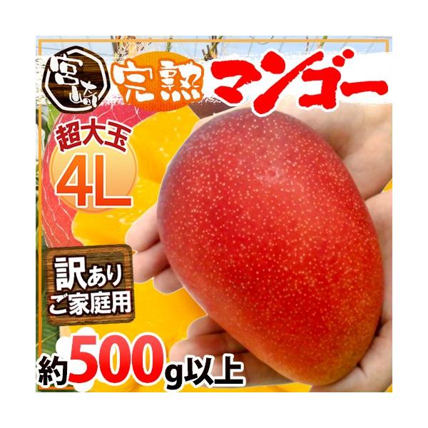 【発売日：2026年05月25日】最高級フルーツ“宮崎完熟マンゴー”が訳ありでお買い得！4Lサイズの超特大が驚きの超特価！！この機会に是非ご賞味あれ♪「中元」/フルーツ/果物/爆買