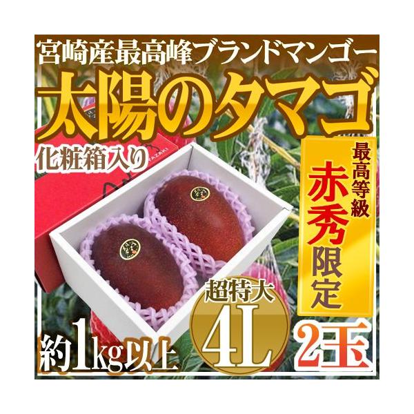【発売日：2026年04月10日】【送料無料！】最高峰マンゴー「太陽のタマゴ」の中でも最高等級「赤秀」限定！！"選ばれ抜いた"至高のマンゴーをお届けします♪「お中元」にも♪/宮崎マンゴー/母の日/父の日/お中元/フルーツ/果物/爆買