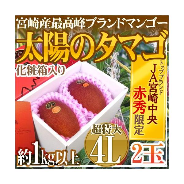 【発売日：2026年04月10日】【送料無料！】最高峰マンゴー「太陽のタマゴ」の中でもトップブランド「JA宮崎中央産」の最高等級「赤秀」限定！！"選ばれ抜いた特撰"至高のマンゴーをお届けします♪/宮崎マンゴー/母の日/父の日/お中元/フルー...