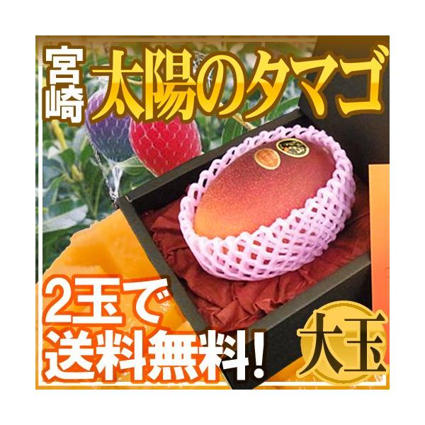 【発売日：2026年04月10日】あの国内最高峰マンゴー♪宮崎完熟マンゴー【太陽のタマゴ】が超お値打ち価格！！毎日大量に太陽のタマゴを入荷する当店だからこそできる驚愕プライス！/宮崎マンゴー/母の日/父の日/お中元/フルーツ/果物/爆買
