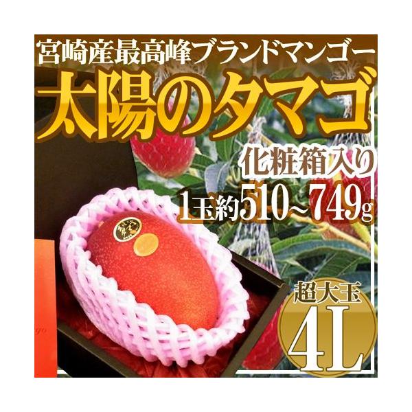 【送料無料！】究極のマンゴー【太陽のタマゴ】宮崎県が誇る至高の逸品♪とろけるようななめらかな食感、うっとりする香り、濃厚な甘味、納得の品質と価格でご提供です♪/母の日/父の日/お中元/御中元/太陽のたまご/宮崎完熟マンゴー/フルーツ/果物/爆買