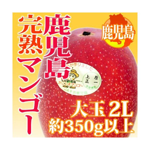 【発売日：2026年05月20日】キメが細かく高糖度、宝石のように美しい鹿児島県産の“完熟マンゴー”宮崎県産にも負けない濃厚な味わいを是非お楽しみください♪/フルーツ/果物/爆買