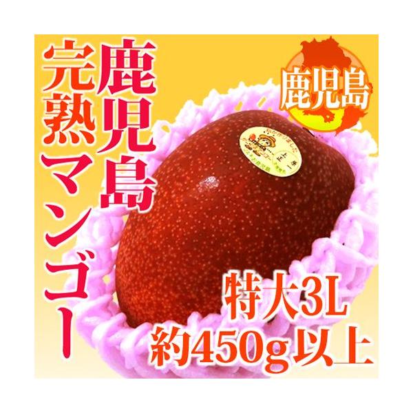 【発売日：2026年05月20日】キメが細かく高糖度、宝石のように美しい鹿児島県産の“完熟マンゴー”宮崎県産にも負けない濃厚な味わいを是非お楽しみください♪/フルーツ/果物/爆買