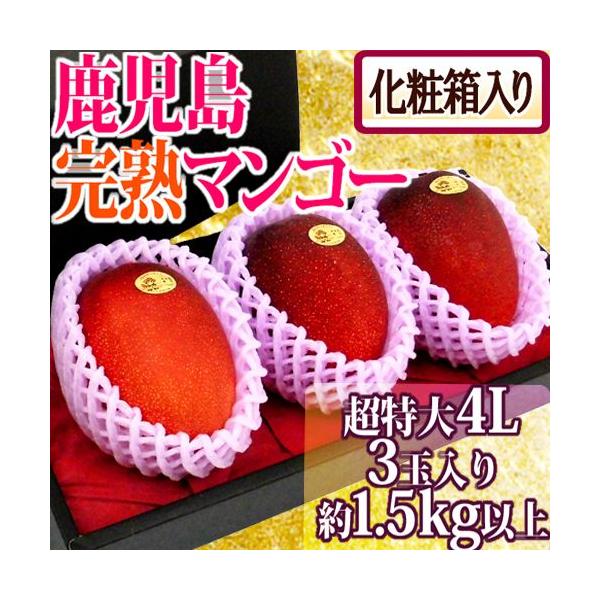 【発売日：2026年05月20日】キメが細かく高糖度、宝石のように美しい鹿児島県産の“完熟マンゴー”。濃厚な味わいと香りを、化粧箱に入れてお届けします♪/フルーツ/果物/1.5キロ/爆買