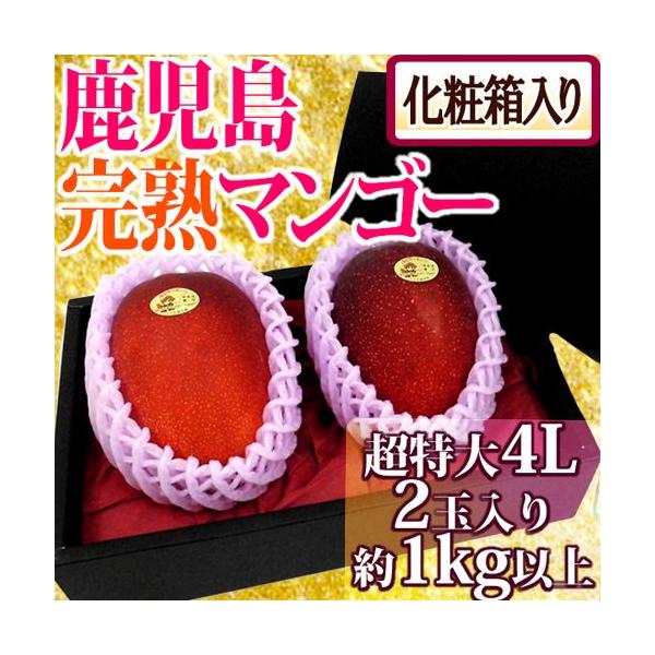 【発売日：2026年05月20日】キメが細かく高糖度、宝石のように美しい鹿児島県産の“完熟マンゴー”。濃厚な味わいと香りを、化粧箱に入れてお届けします♪/フルーツ/果物/1キロ/爆買