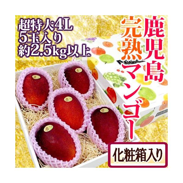 【発売日：2026年05月20日】キメが細かく高糖度、宝石のように美しい鹿児島県産の“完熟マンゴー”。濃厚な味わいと香りを、食べごたえたっぷりの5玉で化粧箱に入れてお届けします♪/フルーツ/果物/2.5キロ/爆買