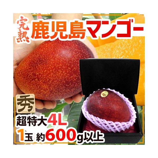【発売日：2026年05月20日】キメが細かく高糖度、濃厚な味わいと宝石のように美しい鹿児島県産の“完熟マンゴー”。超特大4Lの中でもさらに大きいものをご用意しました！/フルーツ/果物/爆買