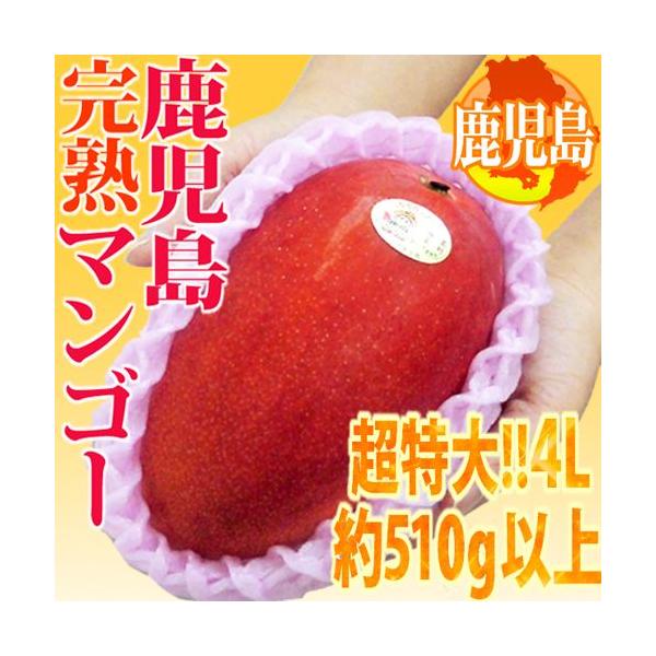 【発売日：2026年05月20日】キメが細かく高糖度、宝石のように美しい鹿児島県産の“完熟マンゴー”。両手からはみでる大きさ！宮崎県産にも負けない濃厚な味わいを是非お楽しみください♪/フルーツ/果物/爆買