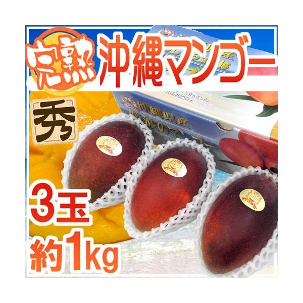 【発売日：2026年07月10日】【送料無料！】太陽をさんさんと浴びたトロピカル感♪トロ〜り濃厚天然スイーツ！宮崎県に負けない品質はさすが沖縄♪国産マンゴー発祥の地♪サンゴの力で育ちました！/フルーツ/果物/1キロ/爆買