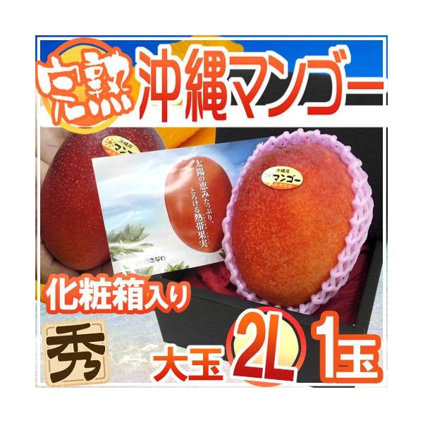 【発売日：2026年07月10日】【送料無料！】太陽をさんさんと浴びたトロピカル感♪トロ〜り濃厚天然スイーツ！宮崎県に負けない品質はさすが沖縄♪国産マンゴー発祥の地♪サンゴの力で育ちました！/フルーツ/果物/爆買