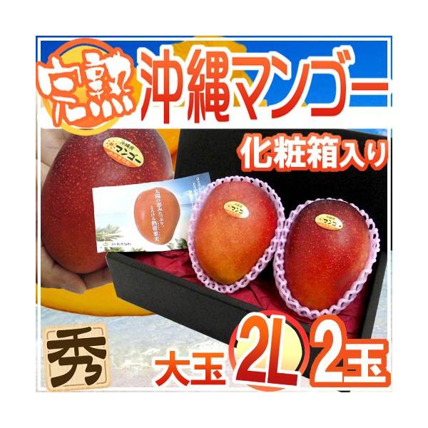 【発売日：2026年07月10日】太陽をさんさんと浴びたトロピカル感♪トロ〜り濃厚天然スイーツ！宮崎県に負けない品質はさすが沖縄♪国産マンゴー発祥の地♪サンゴの力で育ちました！/フルーツ/果物/爆買