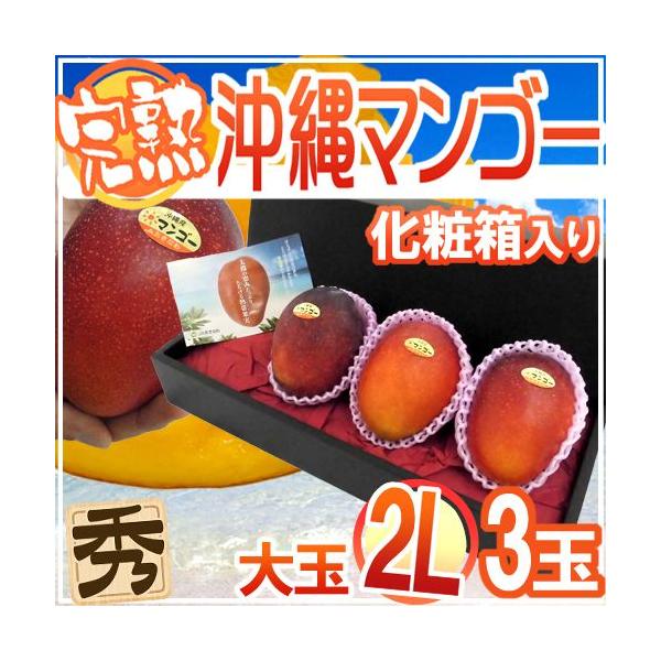 【発売日：2026年07月10日】【送料無料！】太陽をさんさんと浴びたトロピカル感♪トロ〜り濃厚天然スイーツ！宮崎県に負けない品質はさすが沖縄♪国産マンゴー発祥の地♪サンゴの力で育ちました！/フルーツ/果物/爆買
