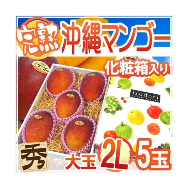 【発売日：2026年07月10日】【送料無料！】太陽をさんさんと浴びたトロピカル感♪トロ〜り濃厚天然スイーツ！宮崎県に負けない品質はさすが沖縄♪国産マンゴー発祥の地♪サンゴの力で育ちました！/フルーツ/果物/爆買