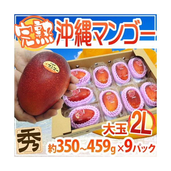 【発売日：2026年07月10日】太陽をさんさんと浴びたトロピカル感♪トロ〜り濃厚天然スイーツ！宮崎県に負けない品質はさすが沖縄♪国産マンゴー発祥の地♪サンゴの力で育ちました！/フルーツ/果物/爆買