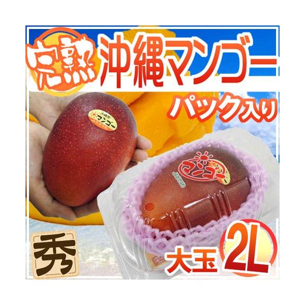 【発売日：2026年07月10日】太陽をさんさんと浴びたトロピカル感♪トロ〜り濃厚天然スイーツ！宮崎県に負けない品質はさすが沖縄♪国産マンゴー発祥の地♪サンゴの力で育ちました！/フルーツ/果物/爆買