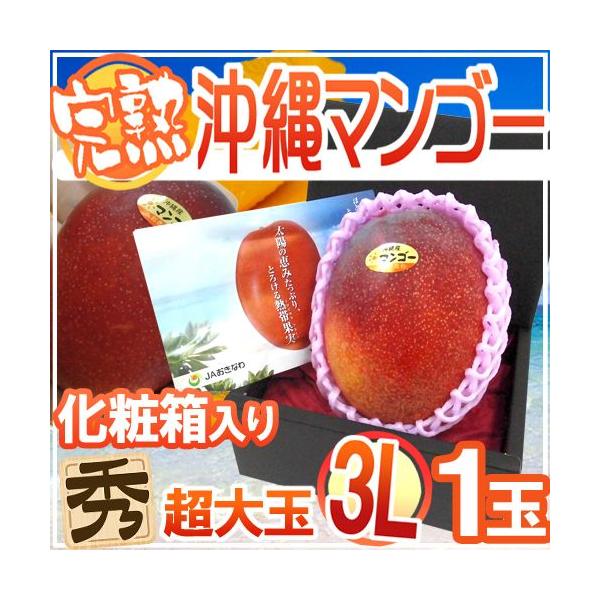 【発売日：2026年07月10日】【送料無料！】太陽をさんさんと浴びたトロピカル感♪トロ〜り濃厚天然スイーツ！宮崎県に負けない品質はさすが沖縄♪国産マンゴー発祥の地♪サンゴの力で育ちました！/フルーツ/果物/爆買