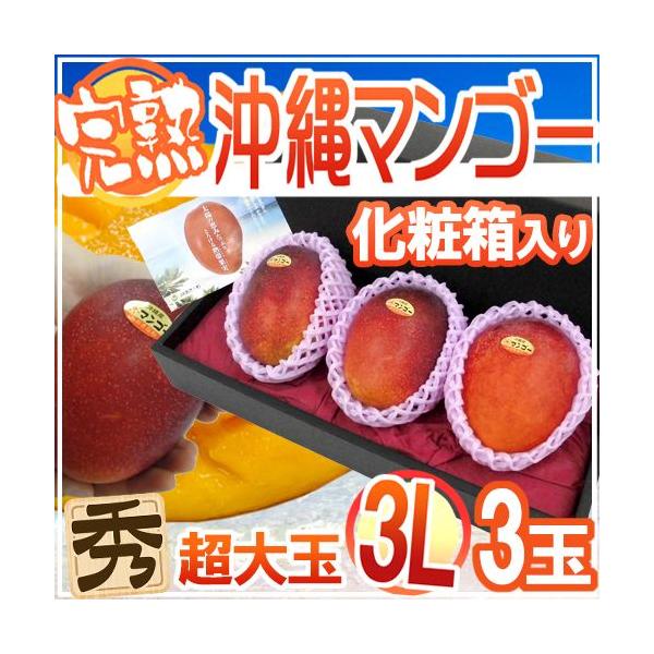 【発売日：2026年07月10日】【送料無料！】太陽をさんさんと浴びたトロピカル感♪トロ〜り濃厚天然スイーツ！宮崎県に負けない品質はさすが沖縄♪国産マンゴー発祥の地♪サンゴの力で育ちました！/フルーツ/果物/爆買
