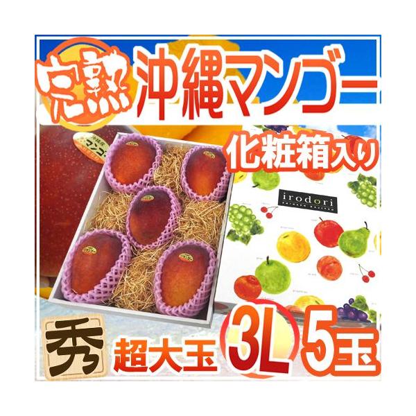 【発売日：2026年07月10日】【送料無料！】太陽をさんさんと浴びたトロピカル感♪トロ〜り濃厚天然スイーツ！宮崎県に負けない品質はさすが沖縄♪国産マンゴー発祥の地♪サンゴの力で育ちました！/フルーツ/果物/爆買