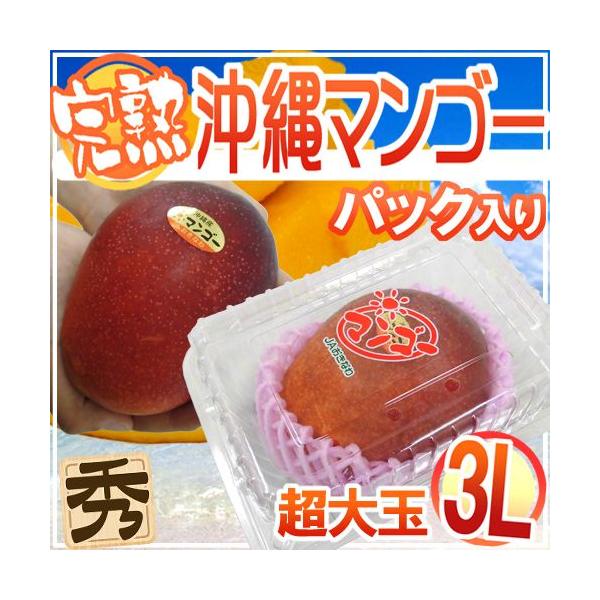 【発売日：2026年07月10日】太陽をさんさんと浴びたトロピカル感♪トロ〜り濃厚天然スイーツ！宮崎県に負けない品質はさすが沖縄♪国産マンゴー発祥の地♪サンゴの力で育ちました！/フルーツ/果物/爆買